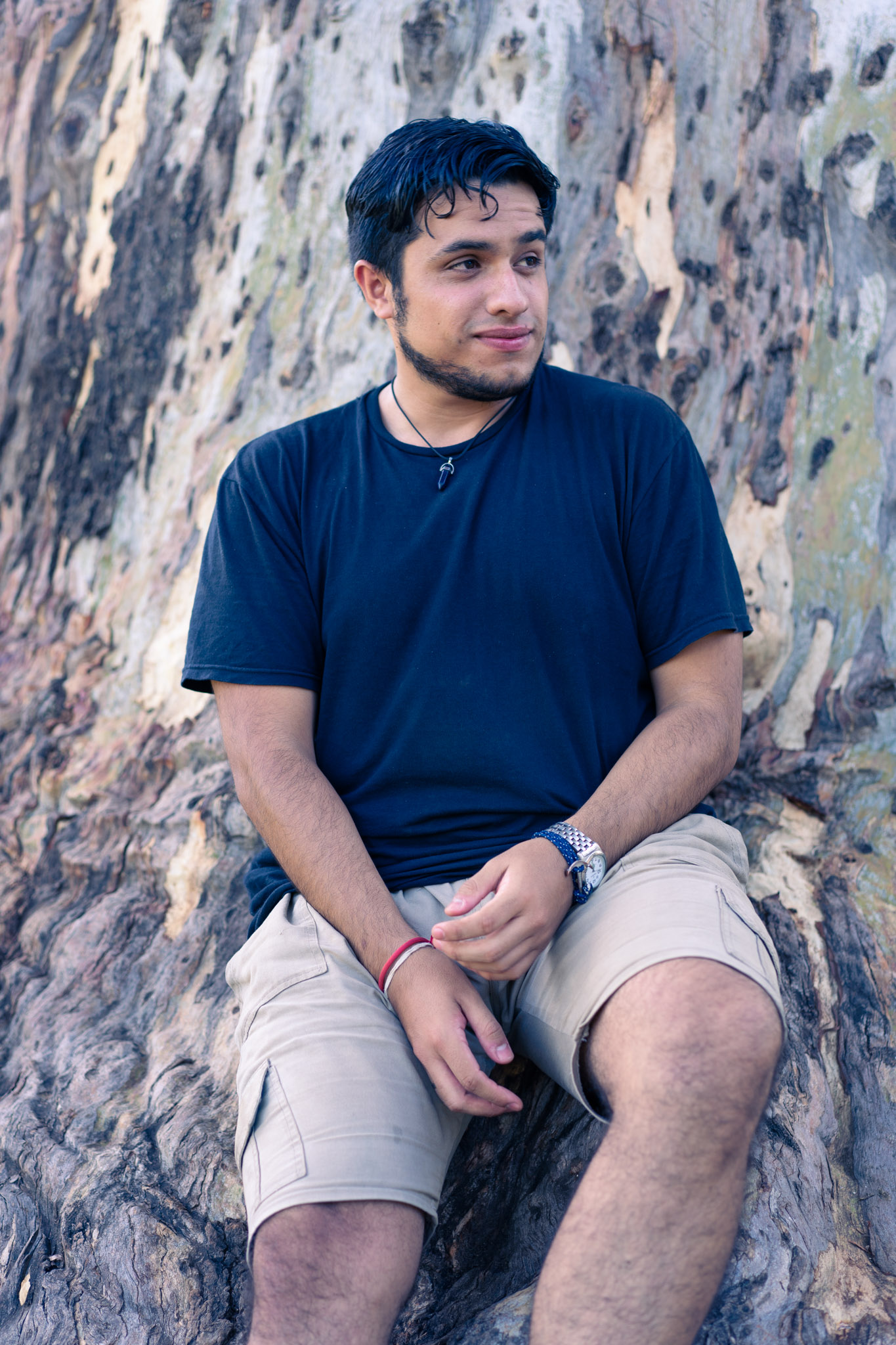 Retrato personal - Enrique Navarro